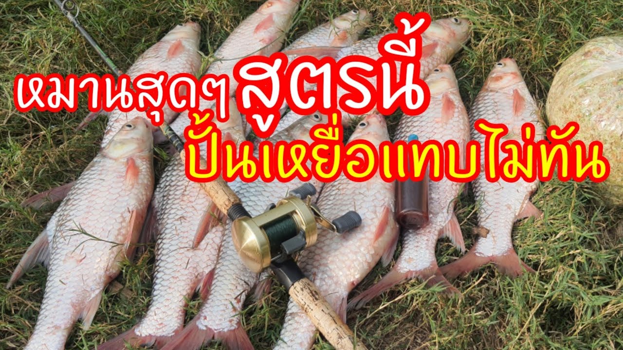 หมานสุดๆ สูตรนี้ ปั้นเหยื่อแทบไม่ทัน - YouTube