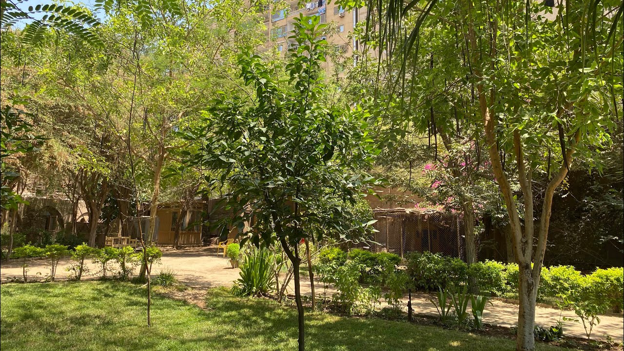 Vlog ; جوله فى مركز رمسيس وصيا واصف للفنوان ، Ramses Center is a ...