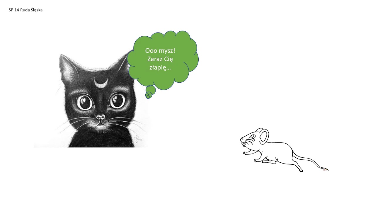 kot i mysz animacja - YouTube