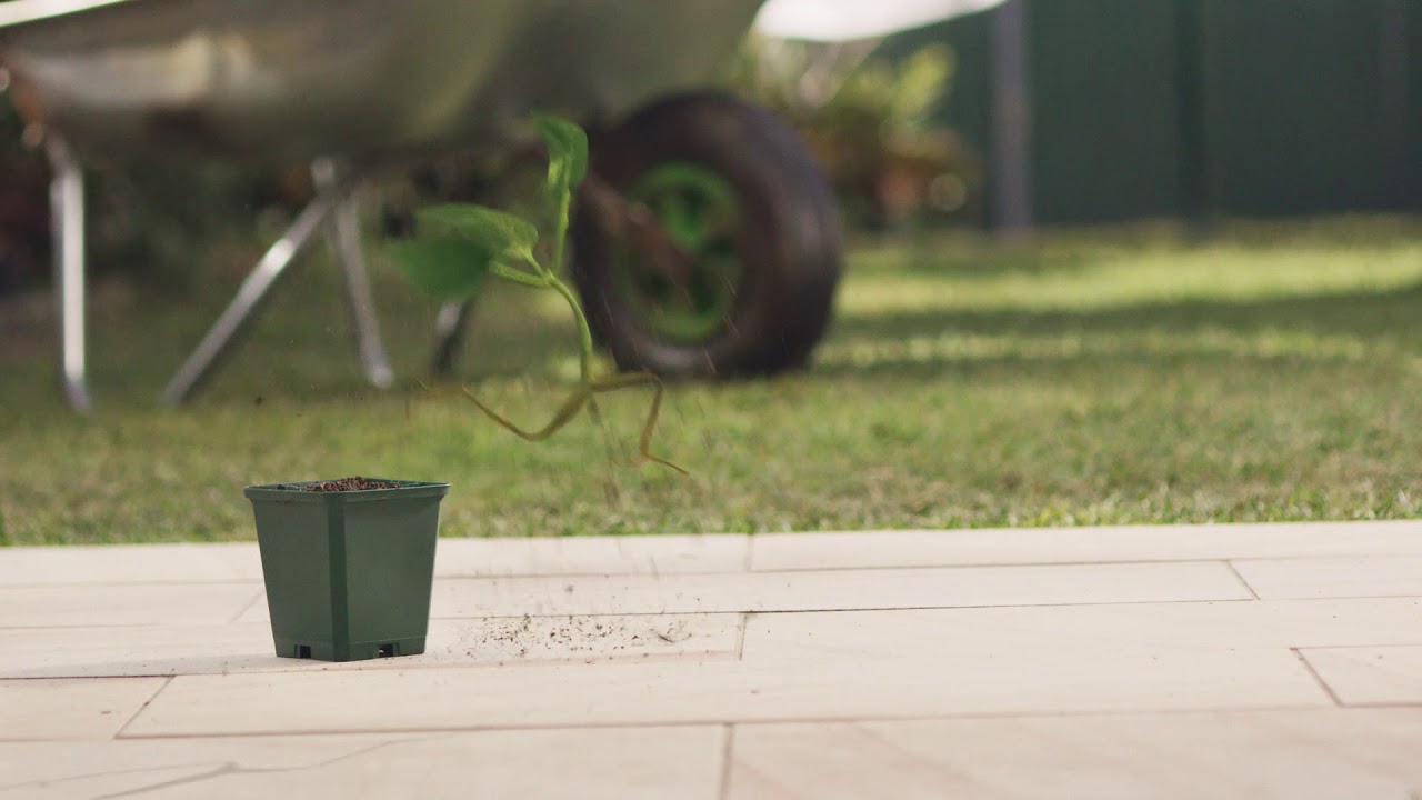 Yates Dynamic Lifter - YouTube