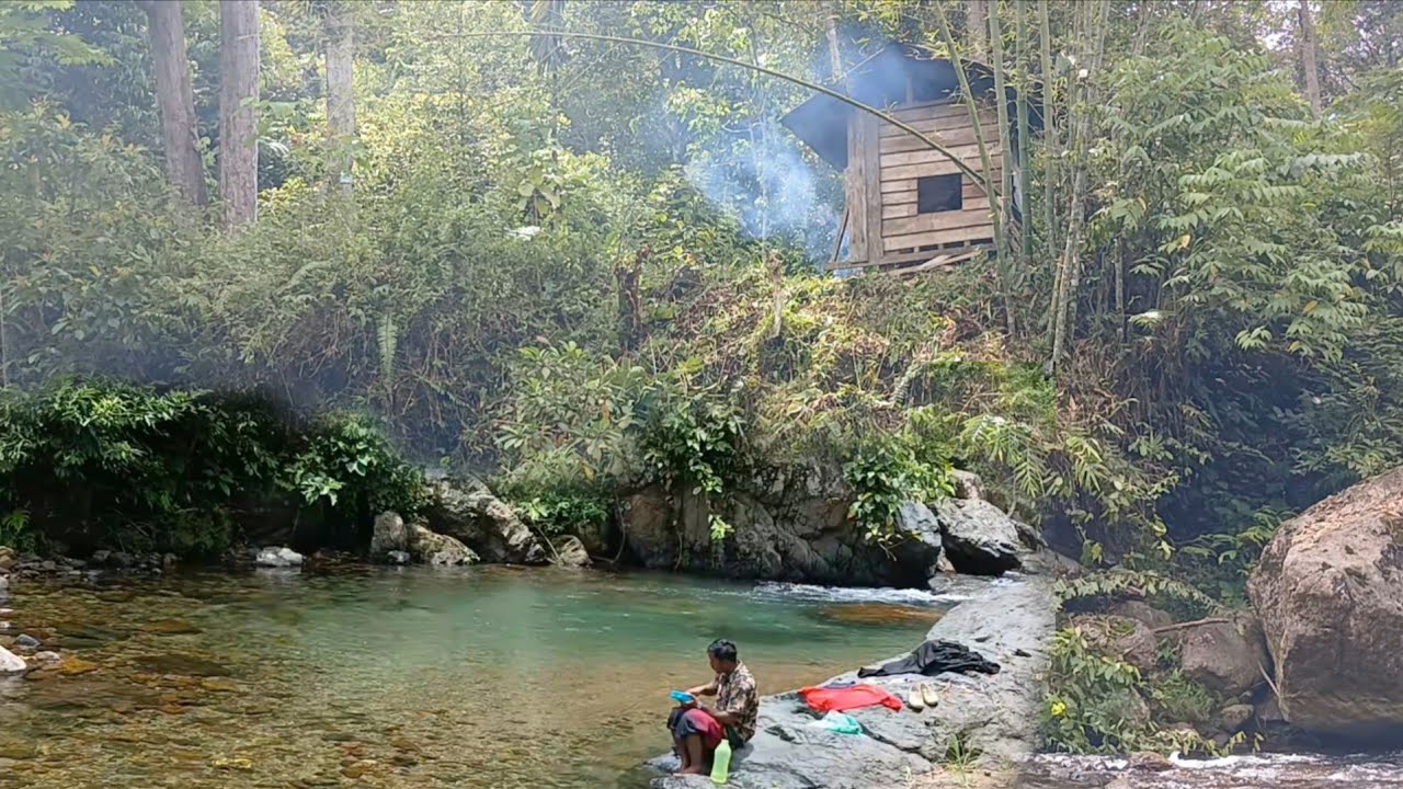 Mulai membersihkan kembali pondok kebun durian di pinggir sungai indah ...