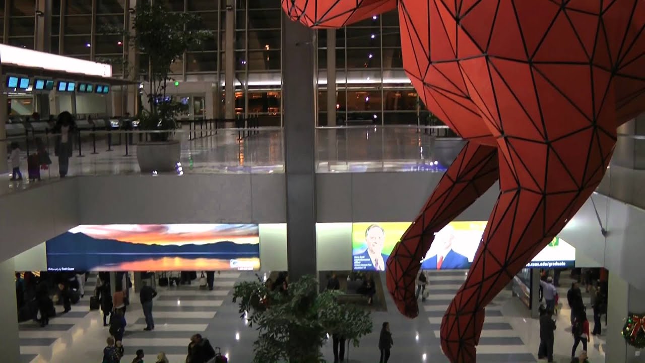 B Terminal Bunny (Leap) at The Sacramento International Airport - YouTube