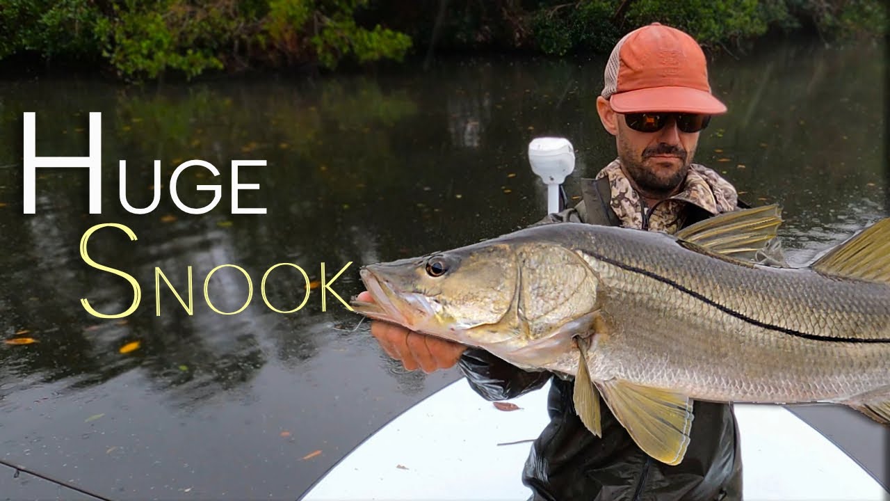 BIG Snook & Tarpon on NLBN Lures! - YouTube