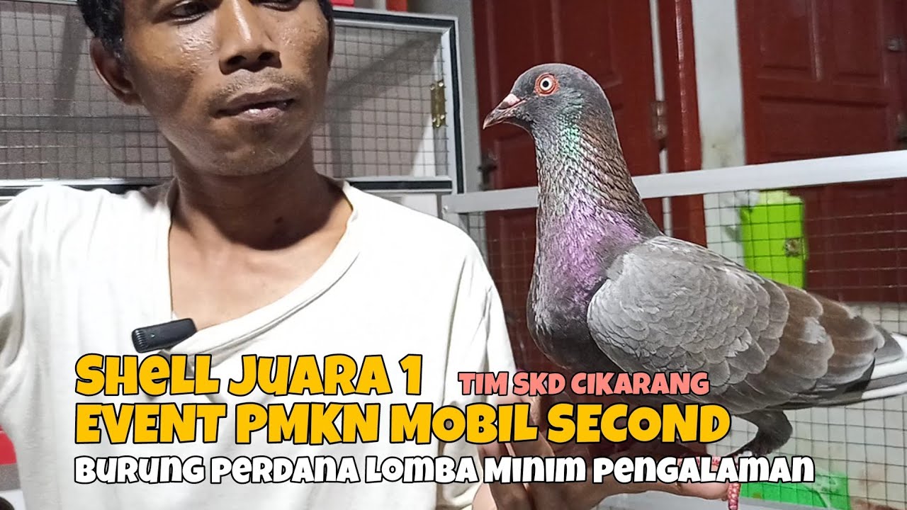 SAYA GAK NYANGKA ! SHELL JUARA 1 EVENT MOBIL SECOND TIM SKD CIKARANG ...