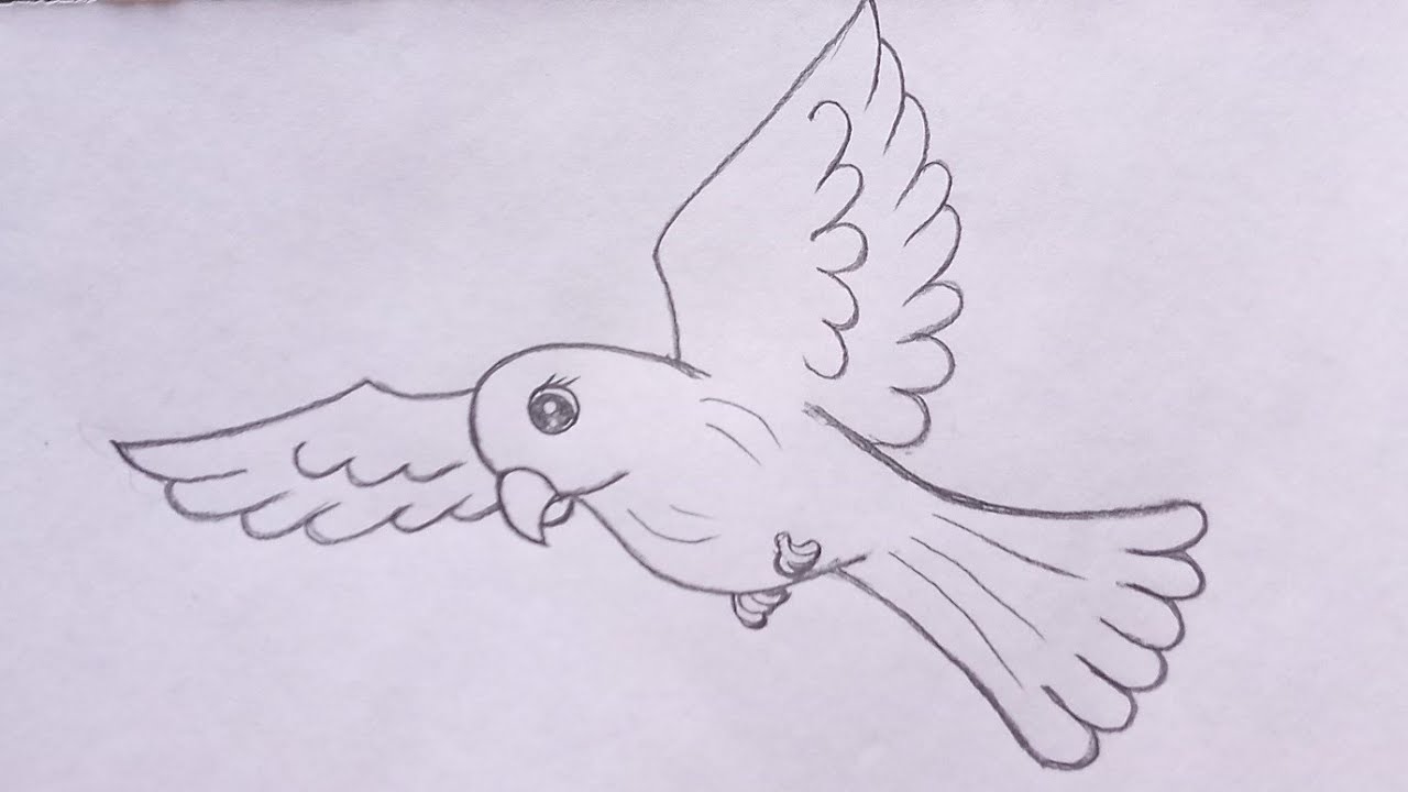 How to draw a flying brid ।। easy flying paroot drawing, - YouTube