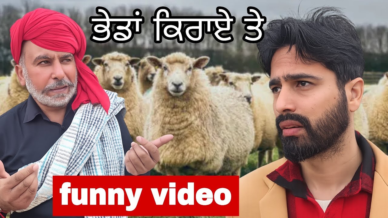 #funny ! ਭੇਡਾਂ ਕਿਰਾਏ ਤੇ ! Gur Randhawa ! Sarab Majitha ! #standupcomedy ...