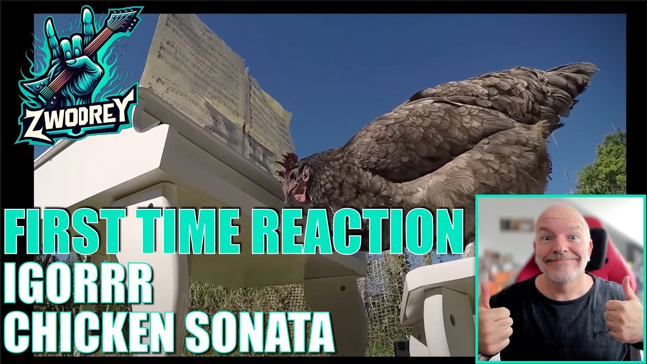 Igorrr - Chicken Sonata - (Reaction!) - GoPro, Patrick, Go ...