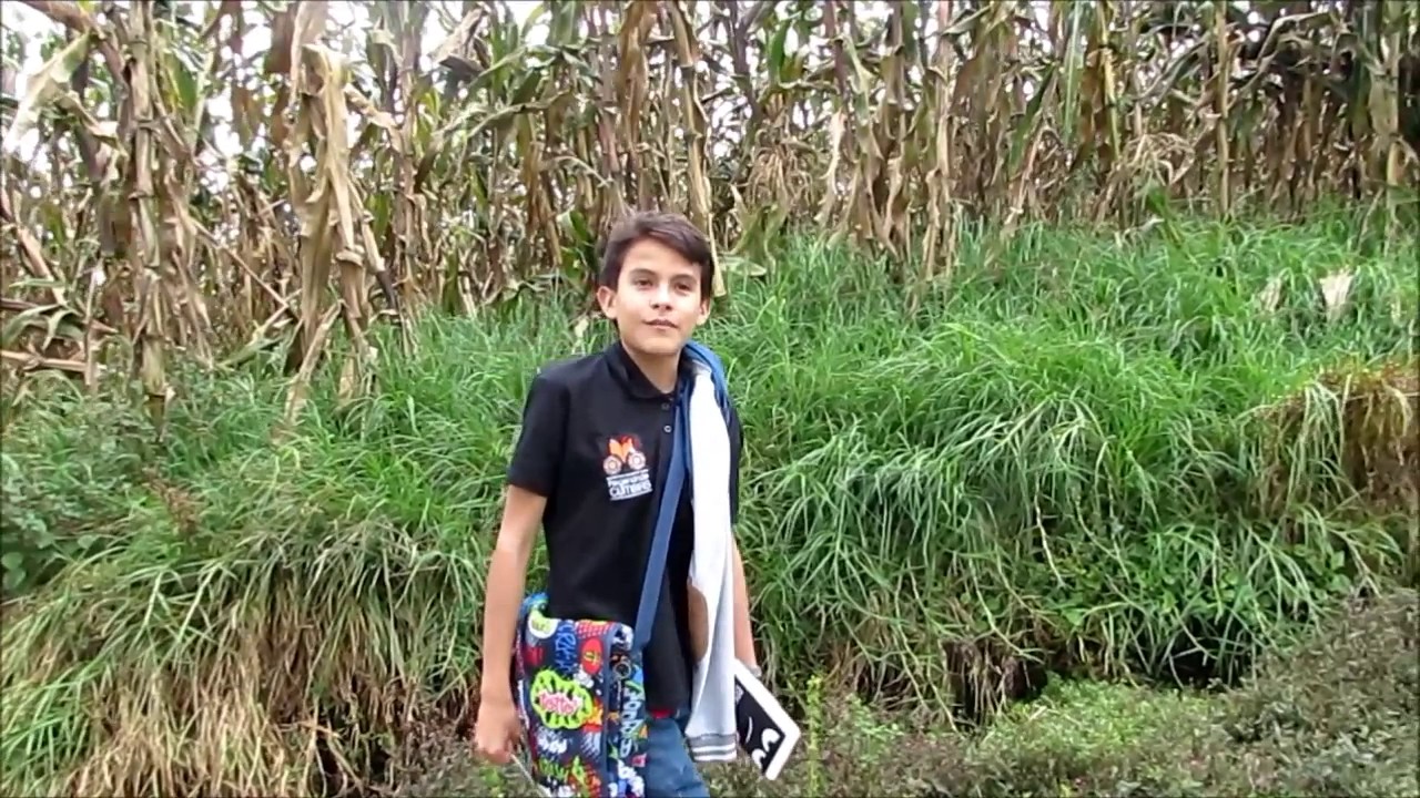 Memorias sobre el cultivo del Maíz en Antioquia - Gregorio Gutiérrez ...