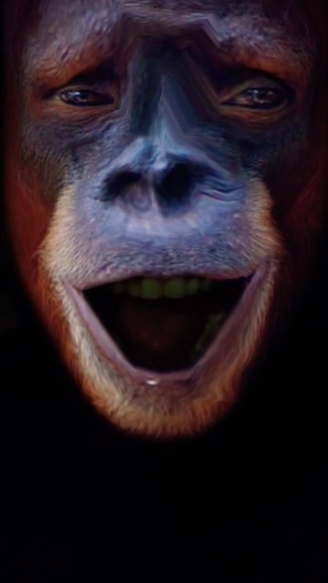 Monkey face filter😂😂 #reels #shortvideo #comedy #animals #monkey # ...
