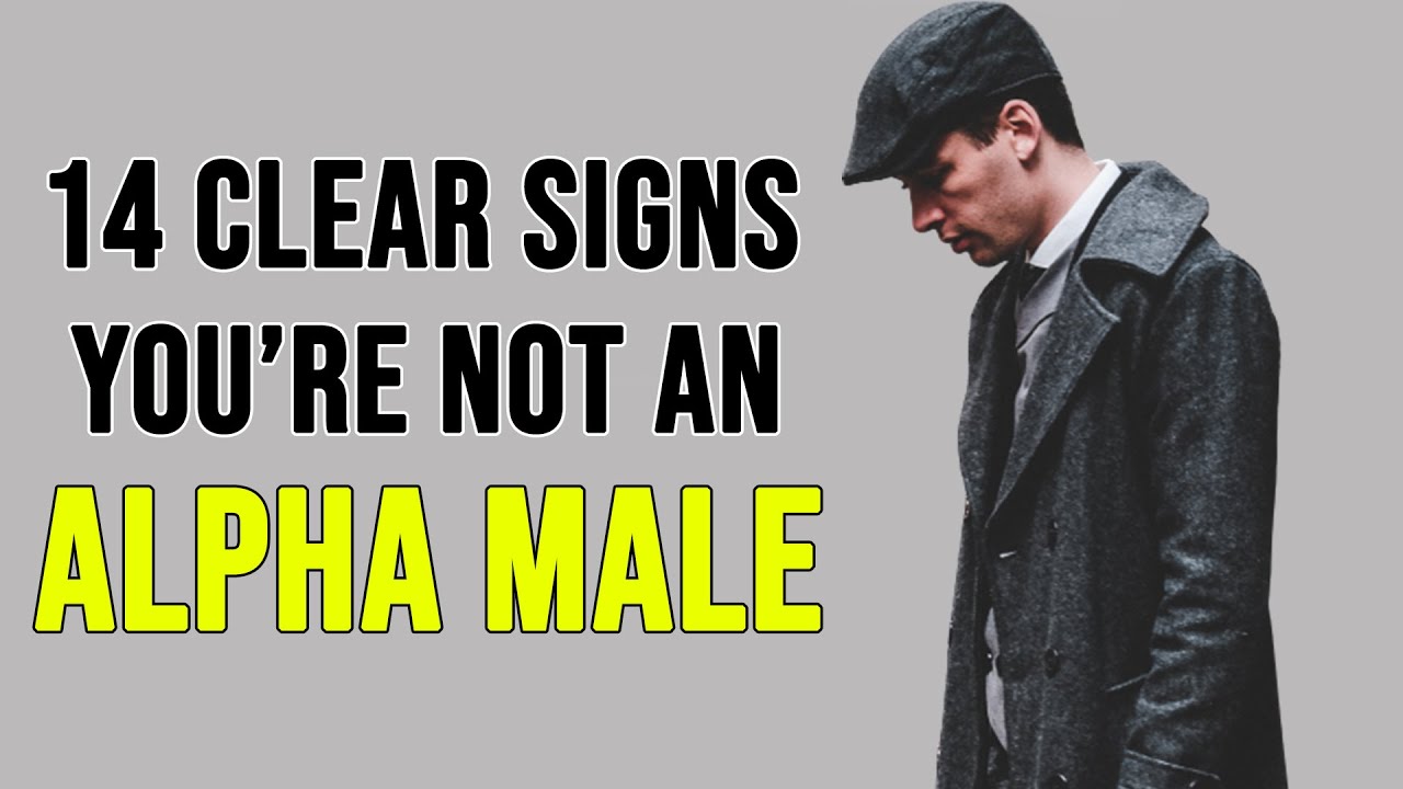 14 Clear Signs You Are Not an Alpha Male - YouTube