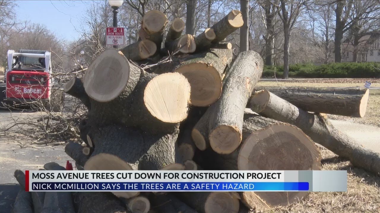 Moss Avenue trees cut down for construction project - YouTube
