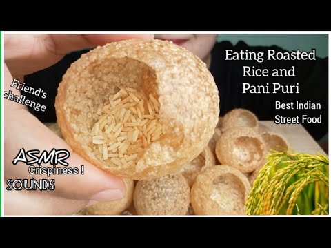 EATING ROASTED RICE with PANI PURI| Best Indian Street Food| Friend's ...
