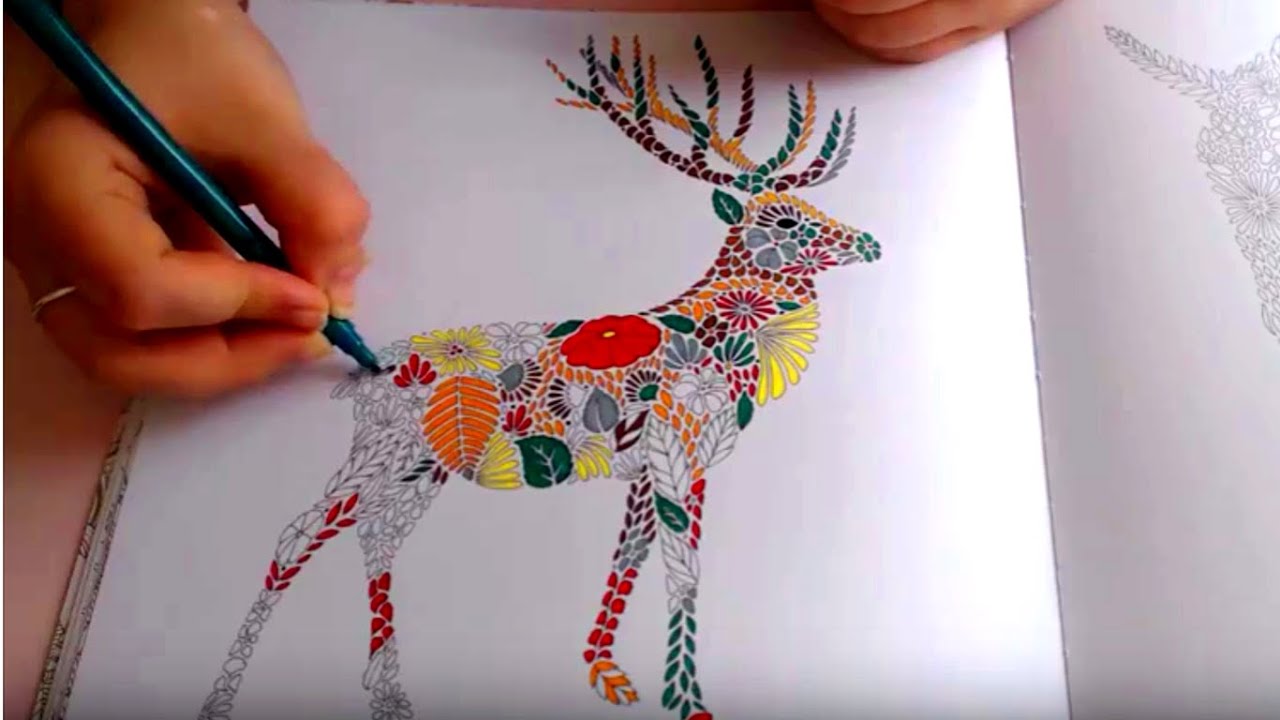 Colouring a STAG in adult colouring books. - YouTube