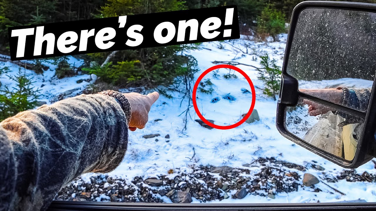 HOW TO FIND A BUCK TRACK FROM THE TRUCK - YouTube