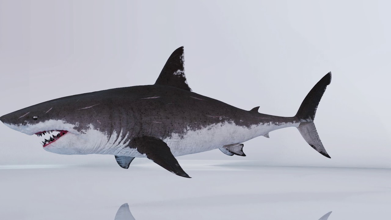 VFX Breakdowns | 3D Shark | Adobe After Effects, Element 3D | Element ...