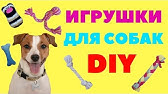 Плетем канатик с мячиком для собаки - YouTube