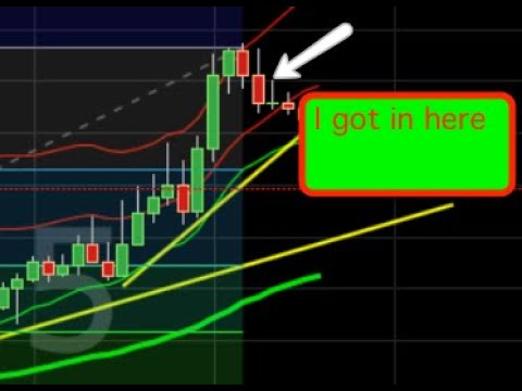 Tradera Forex Trading Review- The Truth About Tradera and The Value of ...