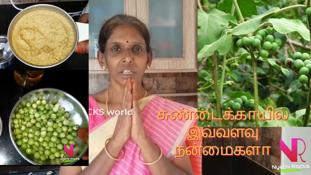 Sundakkai Thuvayal Recipes | Turkey Berry Recipe | Sundakkai Chutney ...