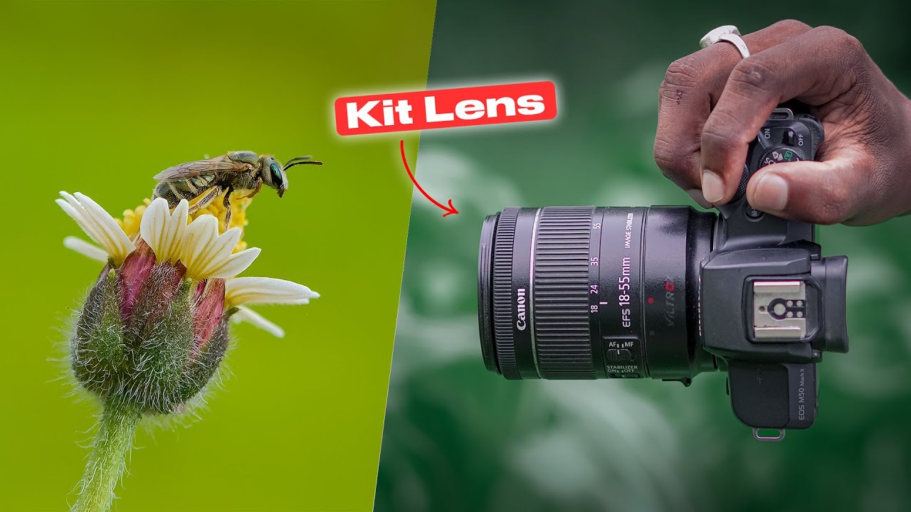 Use Your Kit Lens Like a PRO ⚡ Kit Lens Photography - Balaram ...