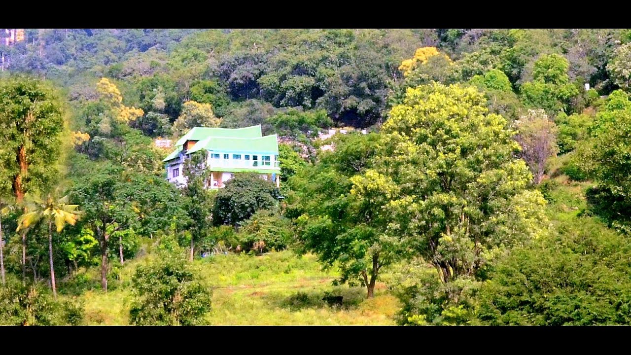 Chinnar Retreat Resort - Chinnar Wildlife Sanctuary - YouTube