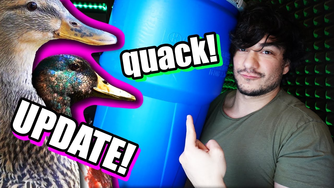 The BEST Swirl Filter DIY! Duck Filtration SUPER IMPORTANT UPDATE ...