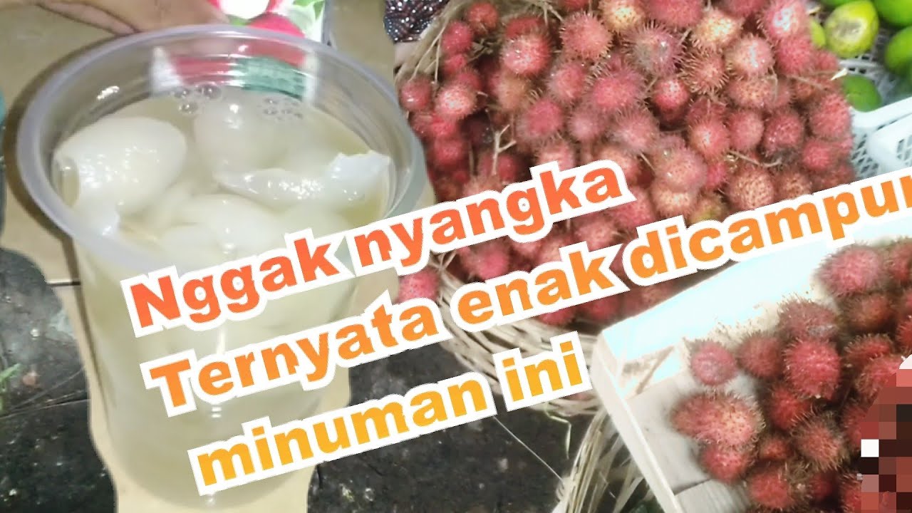 Panen buah dan sayur di hutan | buat minuman dari rambutan dan minuman ...