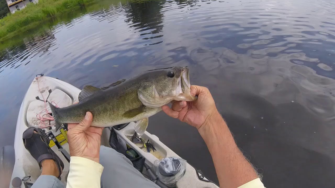 4 days bass fishing in the pond - YouTube
