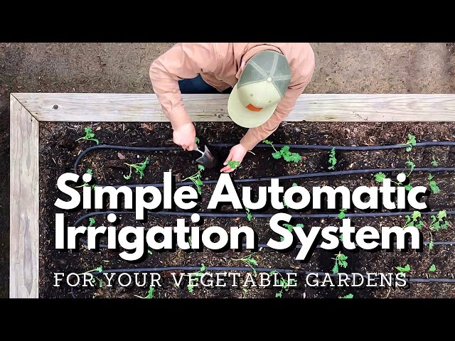 Diy Automatic Watering System DIY Automated Watering System : 5 Steps