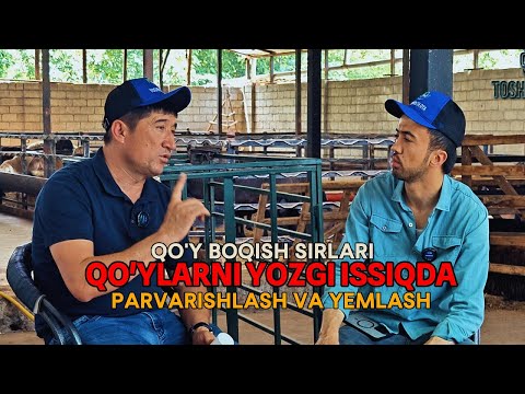 QO'Y BOQISHDAGI XATOLAR QO'YLARNI SEMIRTIRISH QO'Y BOQISH SIRLARI | ҚЎЙ БОҚИШДА ХАТОЛАР СЕМИРТИРИШ