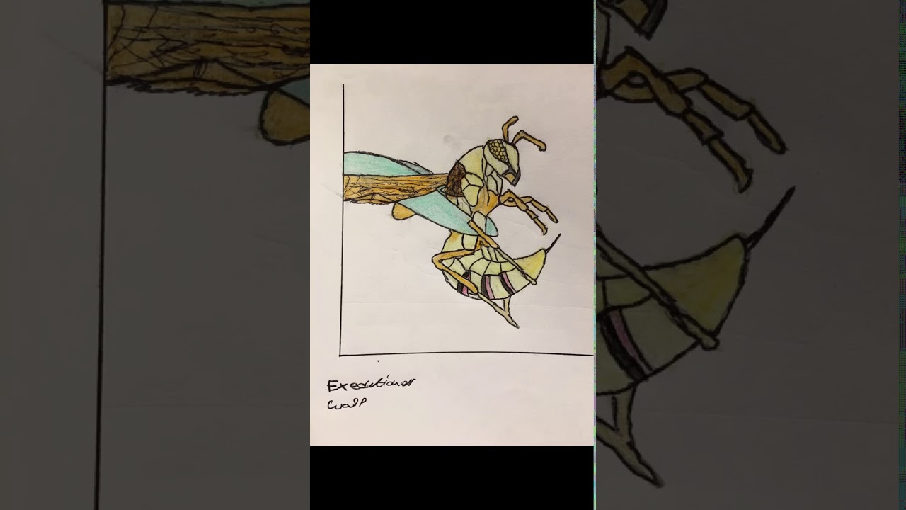 Executioner wasp drawing - YouTube
