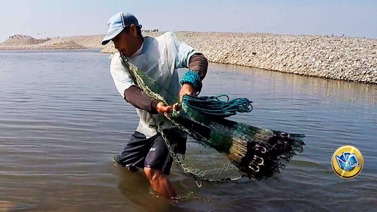 Net Fishing - River #fishing - YouTube