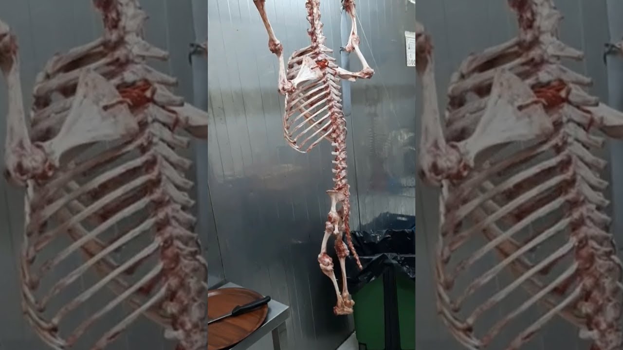 "Skeleton Pull Ups..." 💀 - YouTube