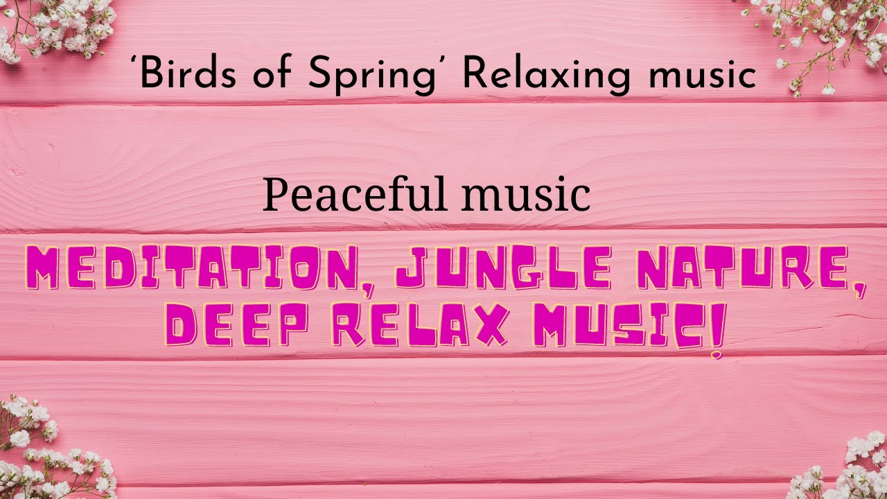 Peaceful music, ‘Birds of Spring’ Relaxing music, Meditation, Jungle ...