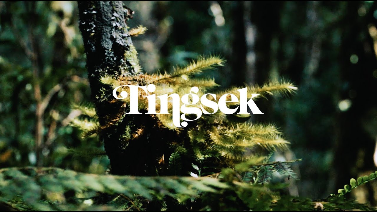 Tingsek - Home - Trailer - YouTube