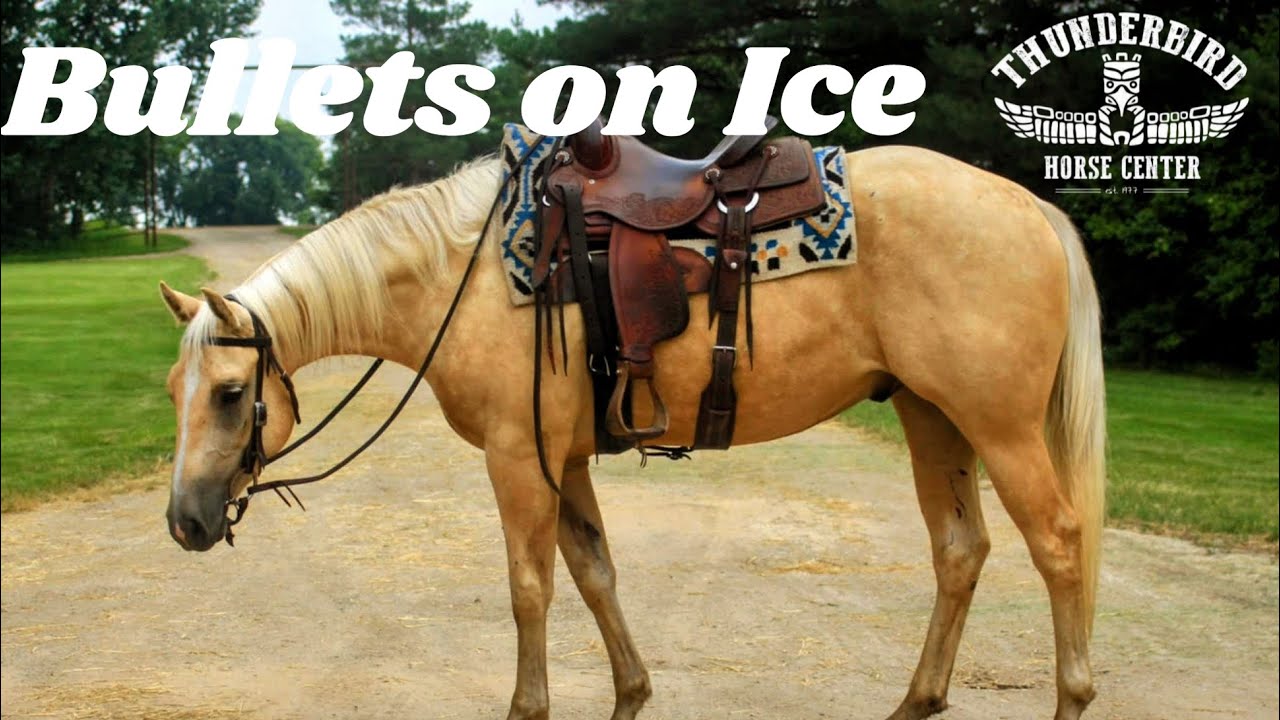 Bullets on Ice, 2021 gelding. - YouTube