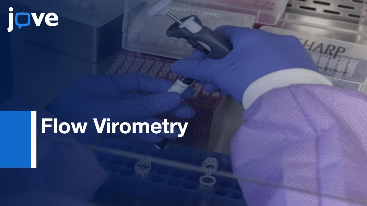 Flow Virometry to Analyze Virions and Extracellular Vesicles | Protocol ...