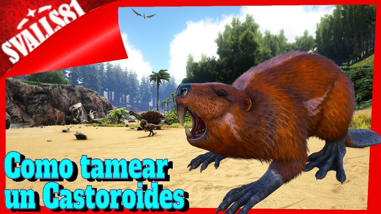 Ark survival evolve PS4, XBox y PC/ Guía tutorial Tameo del Castoroides ...