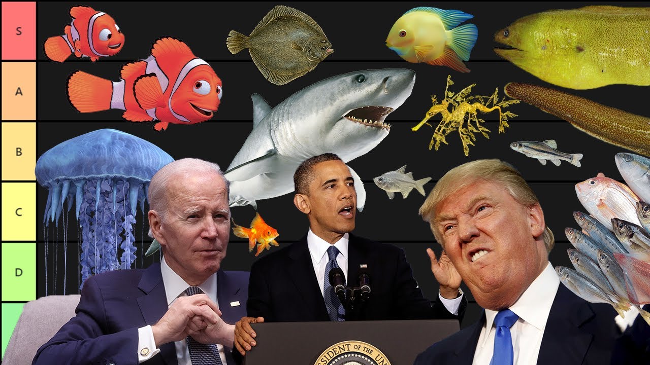 PRESIDENTS MAKE A FISH TIER LIST - YouTube