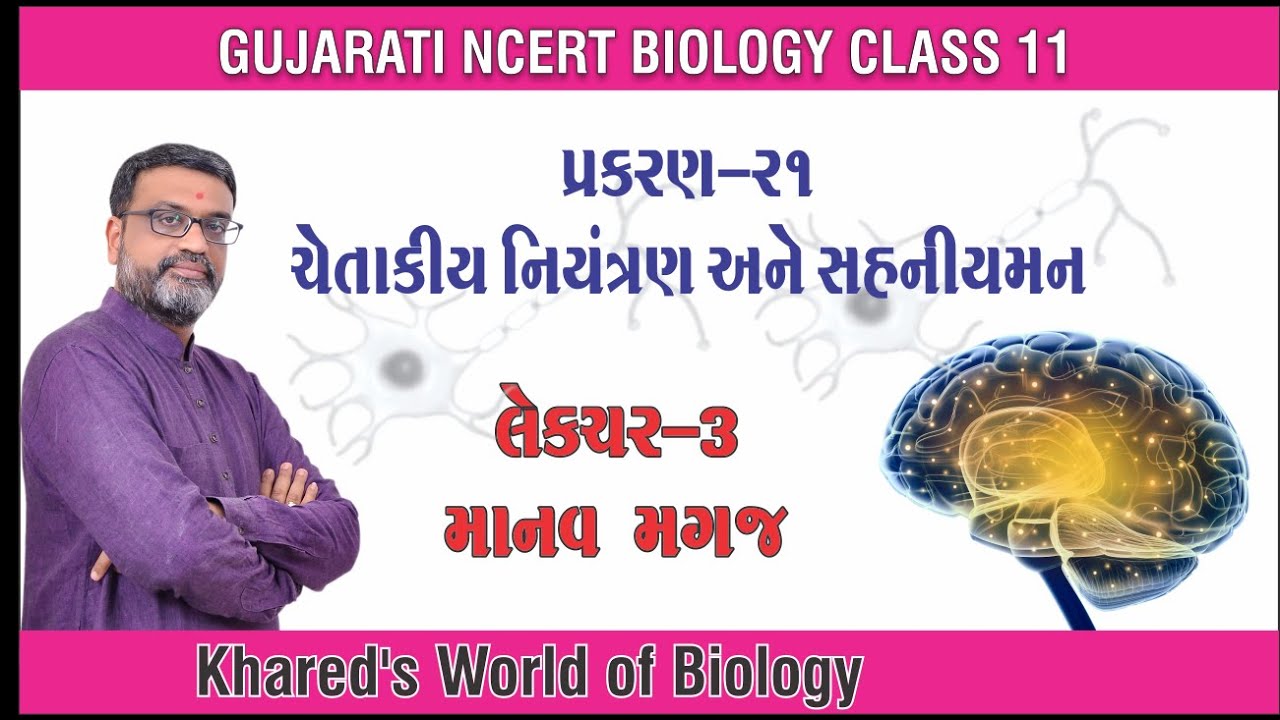 Class 11 | Ch.21 | L-03 | NEURAL CONTROL & COORDINATION | HUMAN BRAIN ...