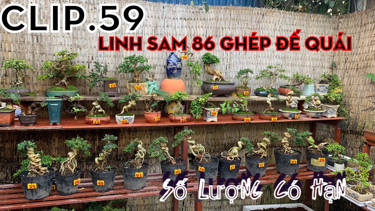 Clip.59 Linh sam 86 ghép sông hinh . ☎️ 0896.667.660 ( zalo) Duy - YouTube