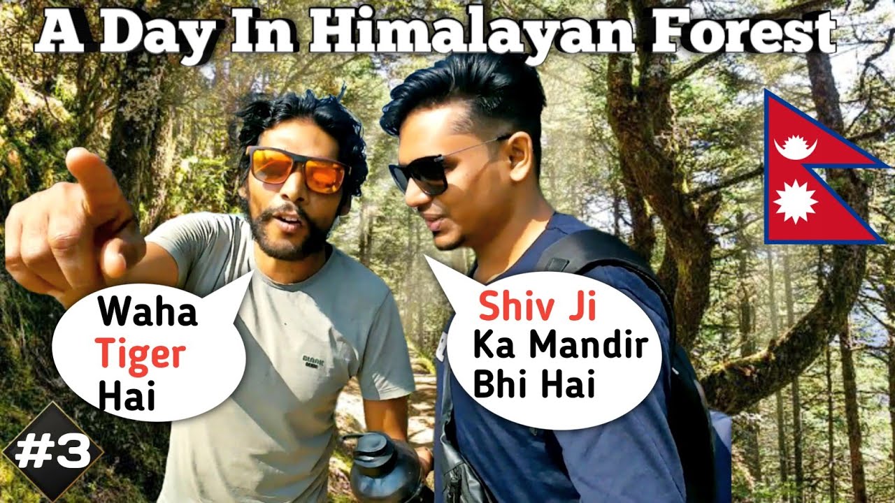 A Day In Himalayan Forest With Nepali | Trek In Nepal | Pokhara City ...