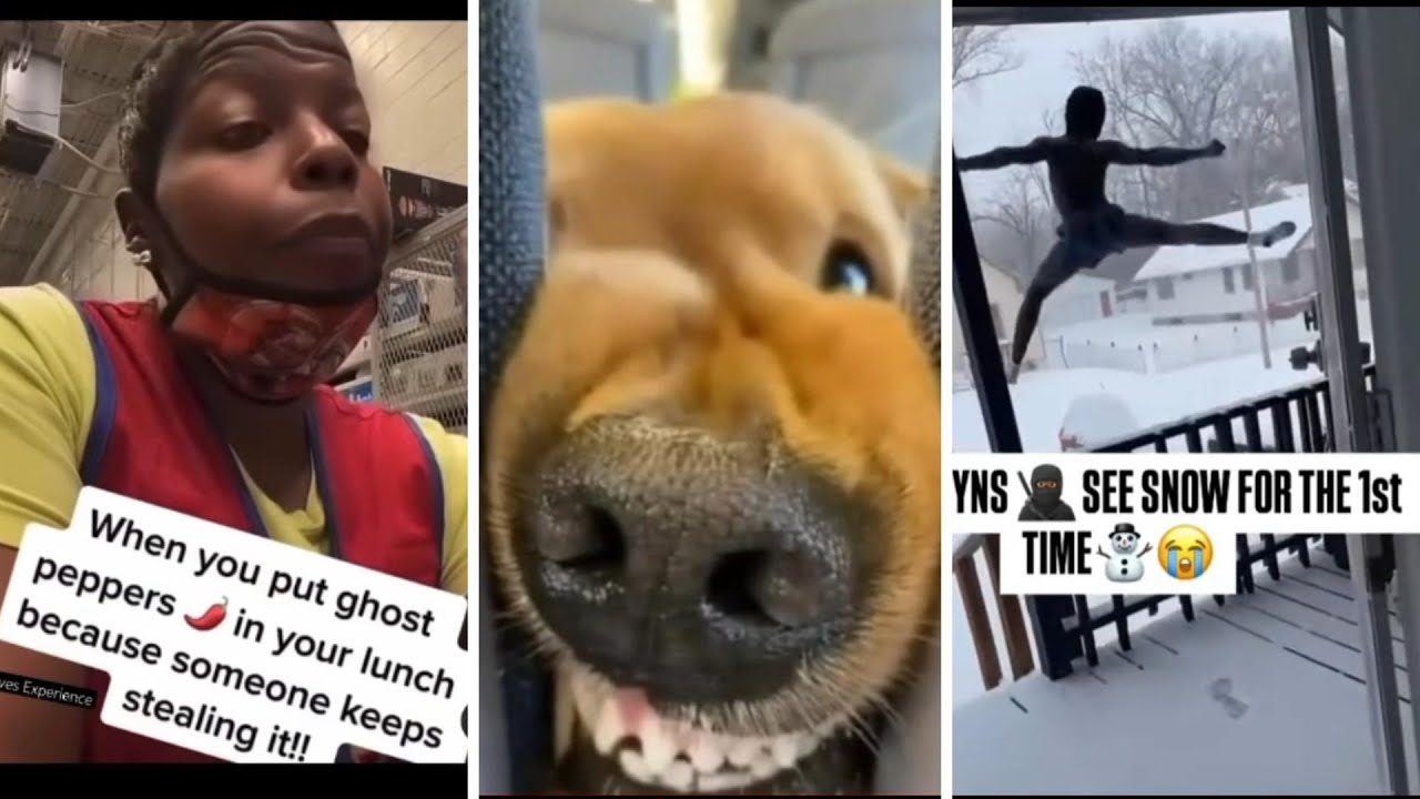 Try Not To Laugh Challenge! Not In Theatres!!! If You Laugh Your Sus ...