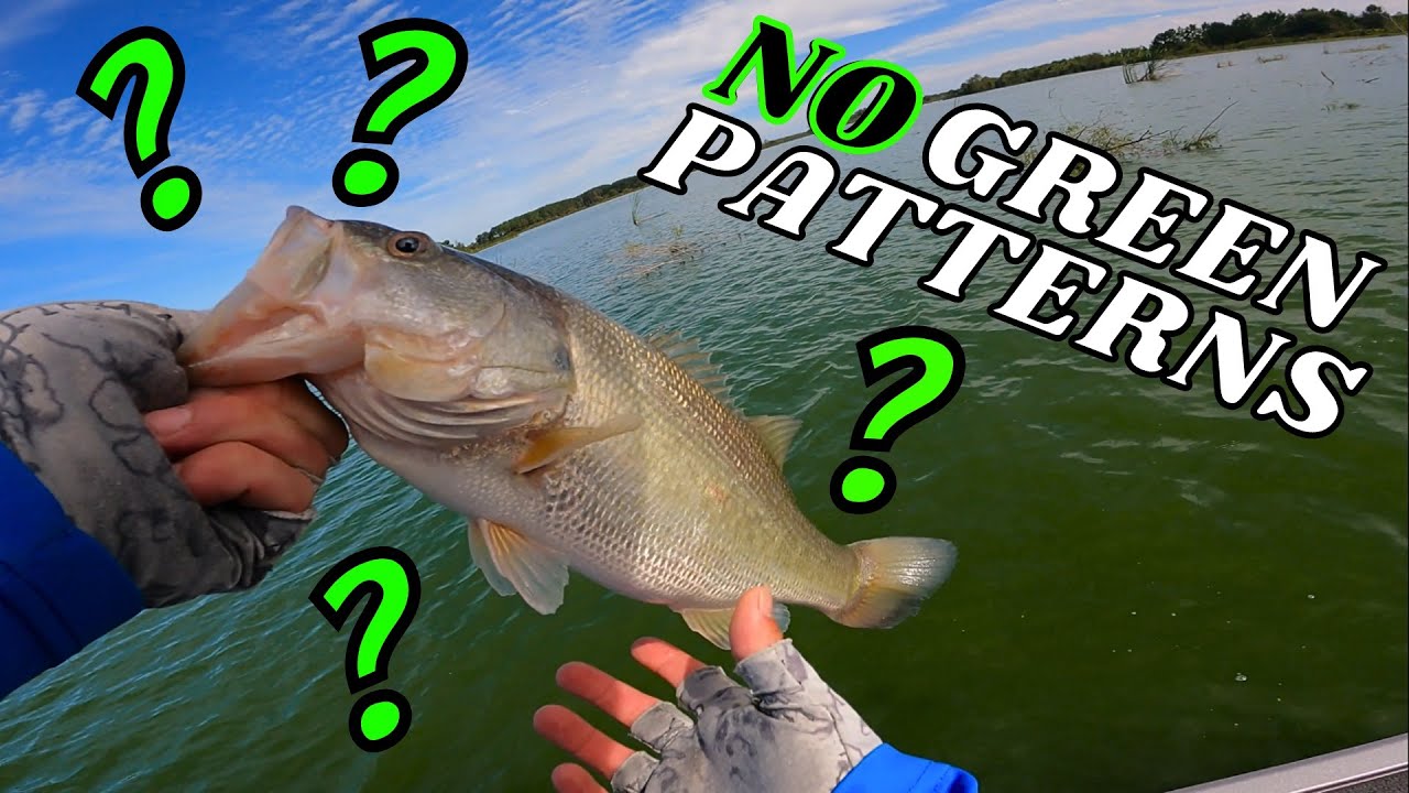 Fishing a NEW LAKE with CRAZY Looking Bass!!! - YouTube