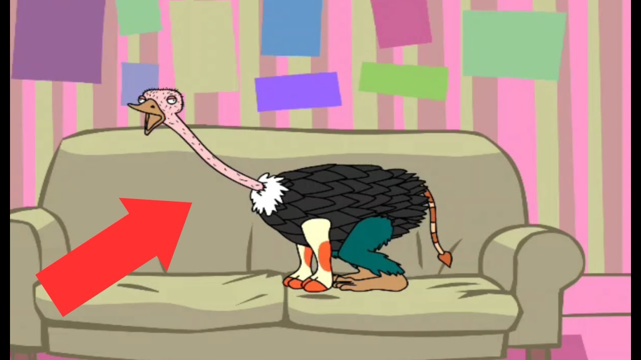 animal muddle | funny animal #13 - YouTube