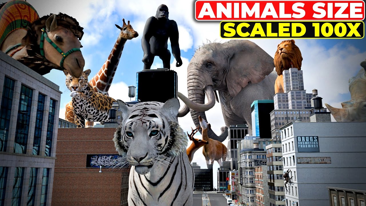 What If Animals Grew 100 Times Bigger? | Giant Animals 3D Comparison ...