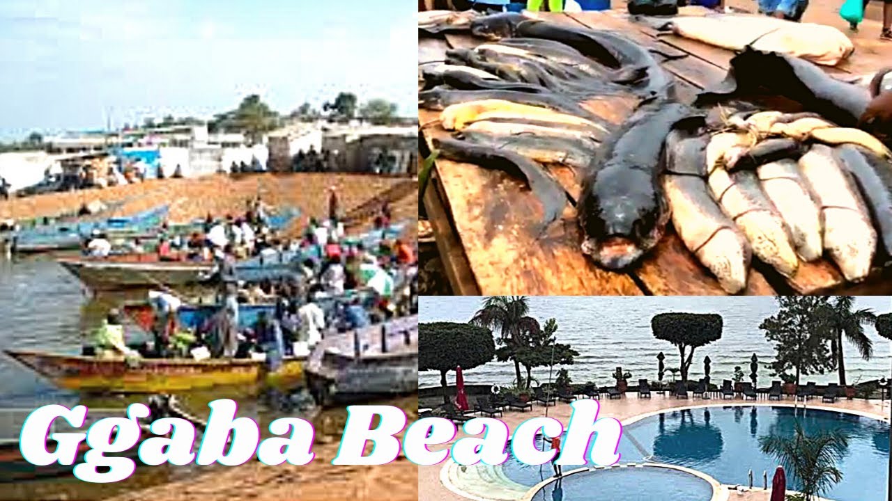 Ggaba Beach Fish Market in Uganda / Ggaba Beach fish trading spot ...