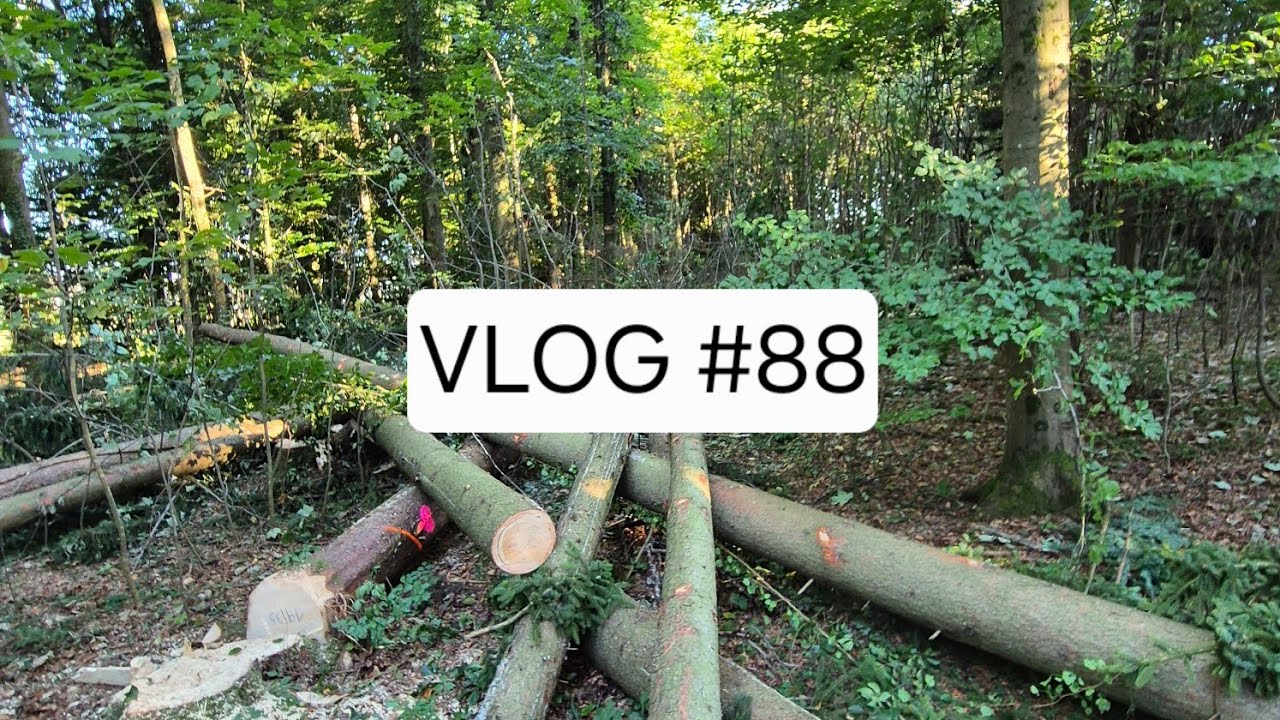 VLOG #88 Der erste große Hieb der Saison. - YouTube