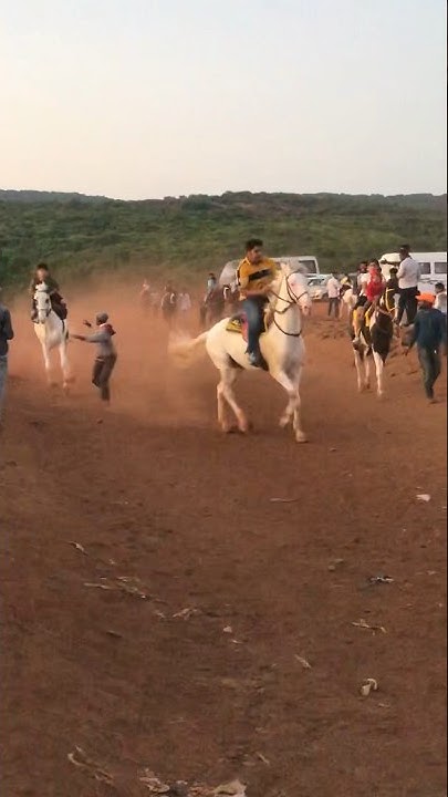 Love horse riding - YouTube