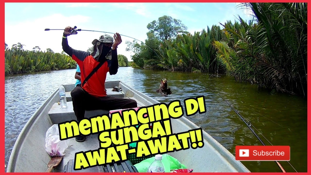 Trip memancing di Sungai Awat-Awat, Lawas Sarawak. - YouTube