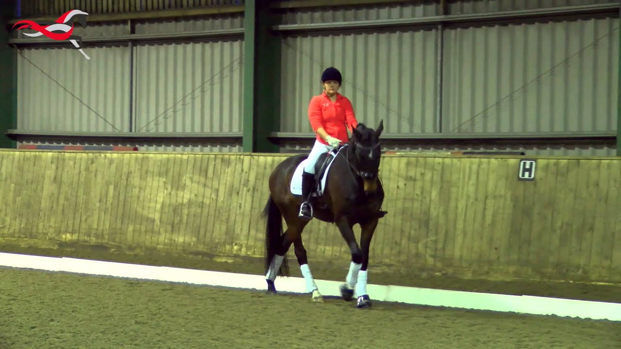 Sue Carson 1 Trailer - YouTube